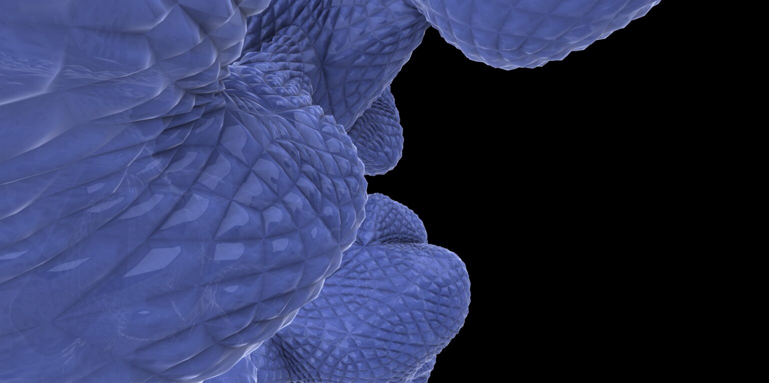 Designing Fluidity Digitalfutures